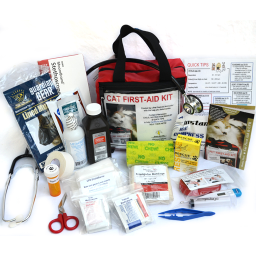 Falls & High Rise Syndrome - Pet Safety Crusader