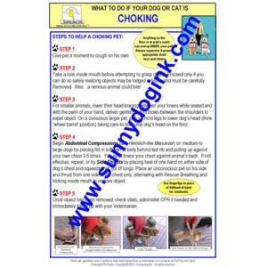 Posters – Pet Safety Crusader