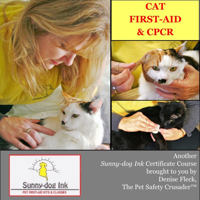 Pet Safety Crusader – Helping People Help their Pets