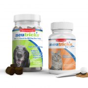 Pet Safety Crusader – Helping People Help their Pets