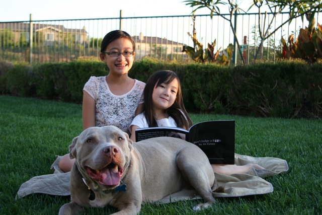 Choosing the Right Pet for Your Family & Lifestyle - Pet Safety Crusader