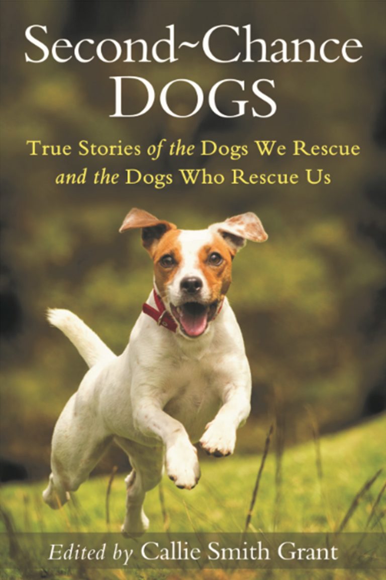 Second-Chance Dogs – Pet Safety Crusader