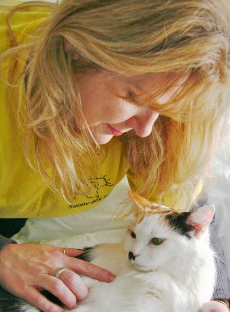 Checking Your Pet’s Vitals – Pet Safety Crusader