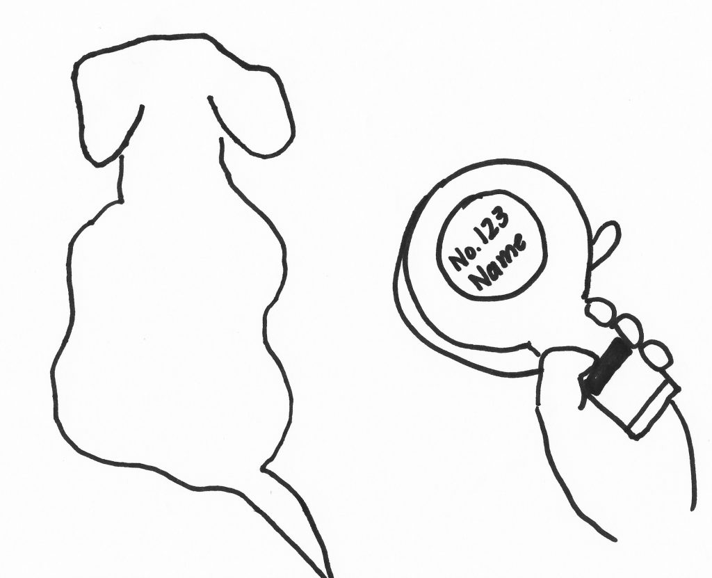 CHECK YOUR CHIP DAY - AUGUST 15th - Pet Safety Crusader