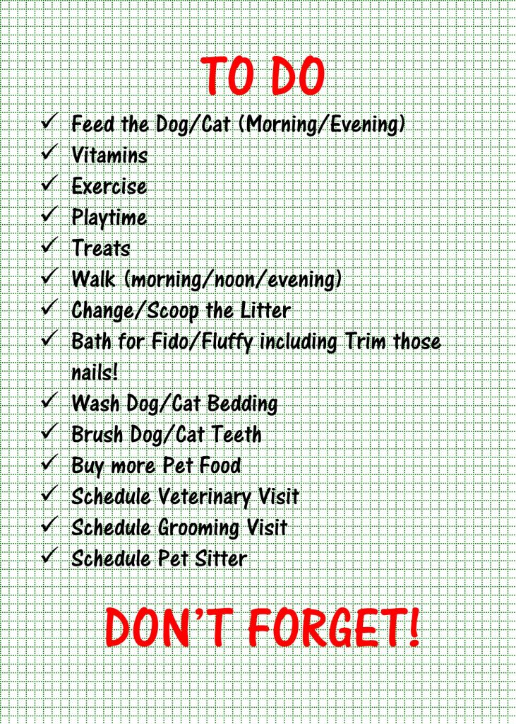 Stick to Your Pet's Normal Routine This Holiday Season - Pet Safety ...