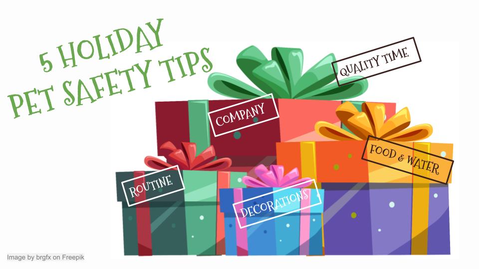 TOP 5 HOLIDAY PET SAFETY TIPS – Pet Safety Crusader